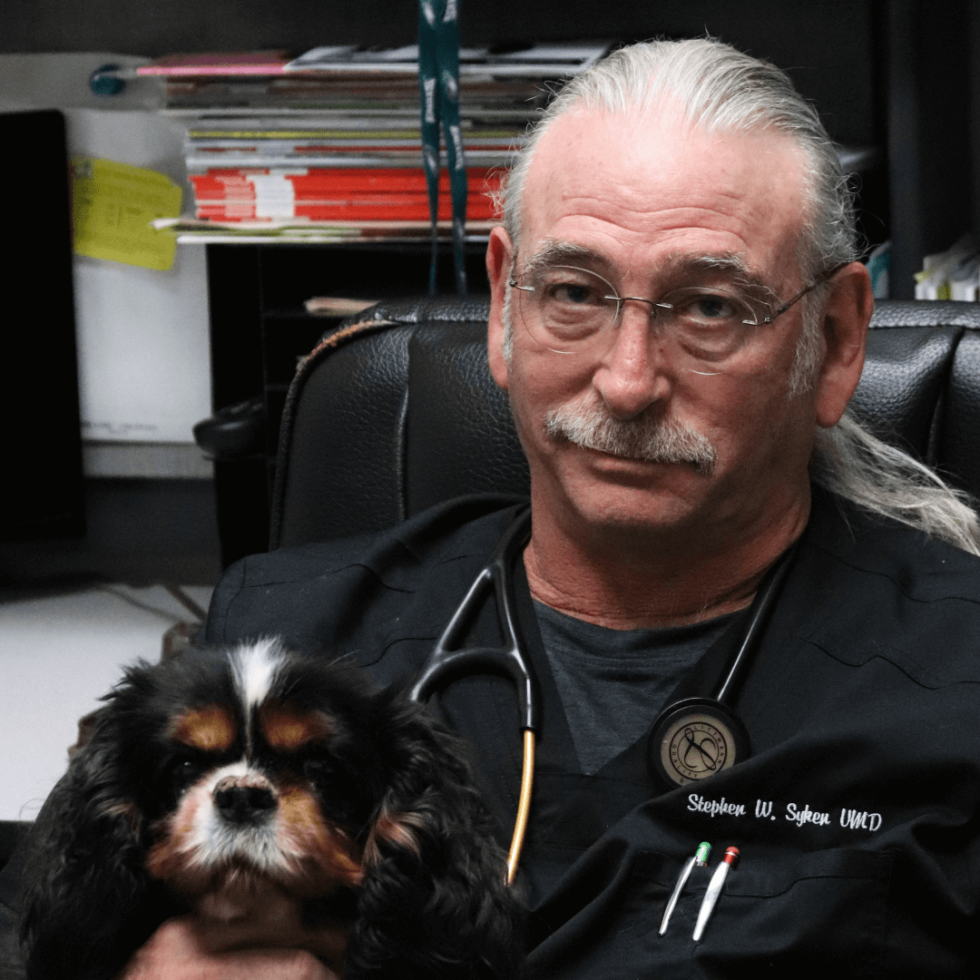 Veterinarian In Aston, PA 19014 | Pennell Veterinary Clinic